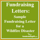 Sample Fundraising Letter - Wildfire Disaster